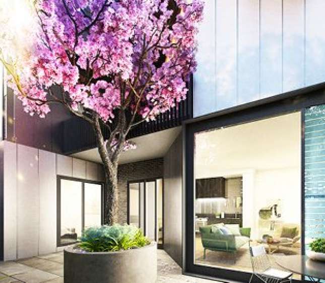Jellis Craig Real Estate Agents & Property Managers | Jellis Craig